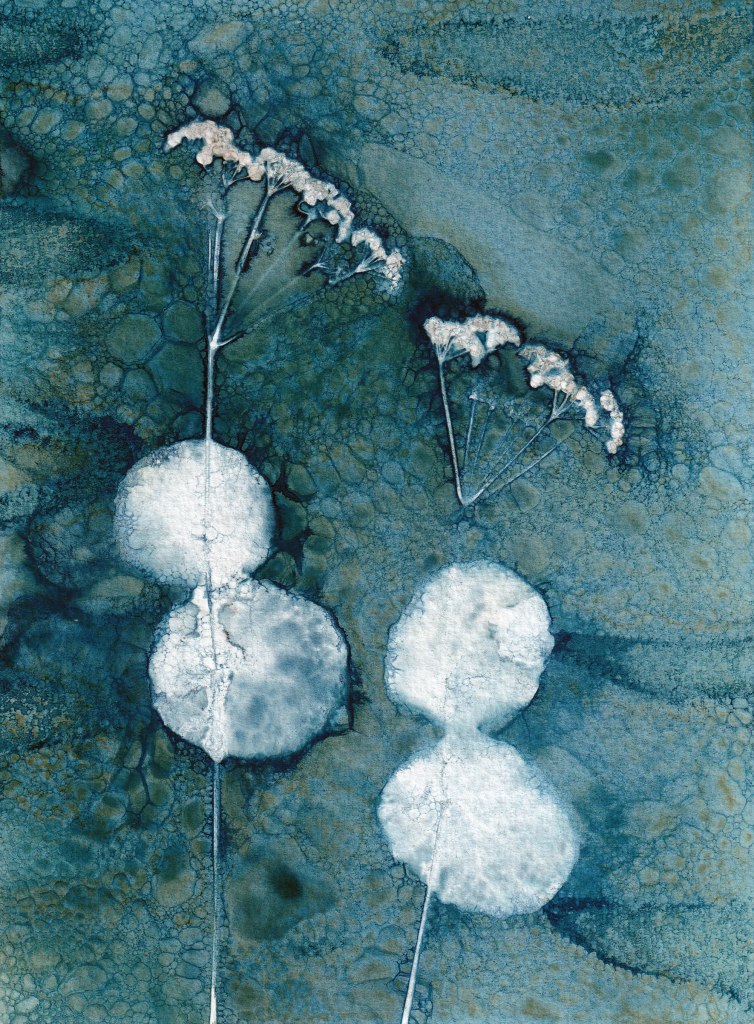 Wet Cyanotypes – Mirrored Images