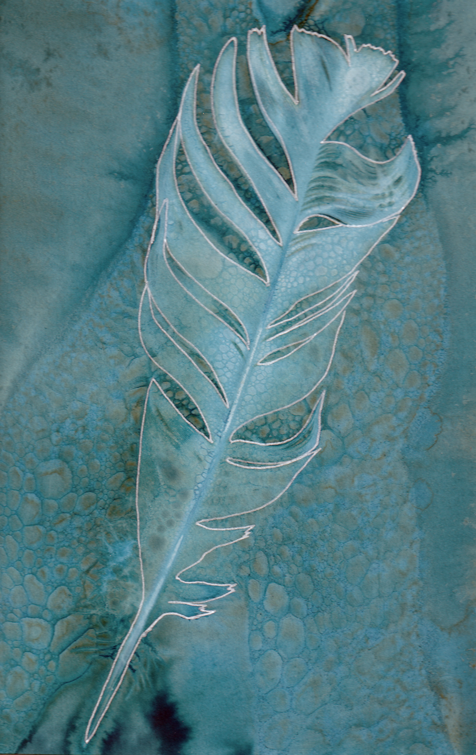 Wet Cyanotypes – Mirrored Images