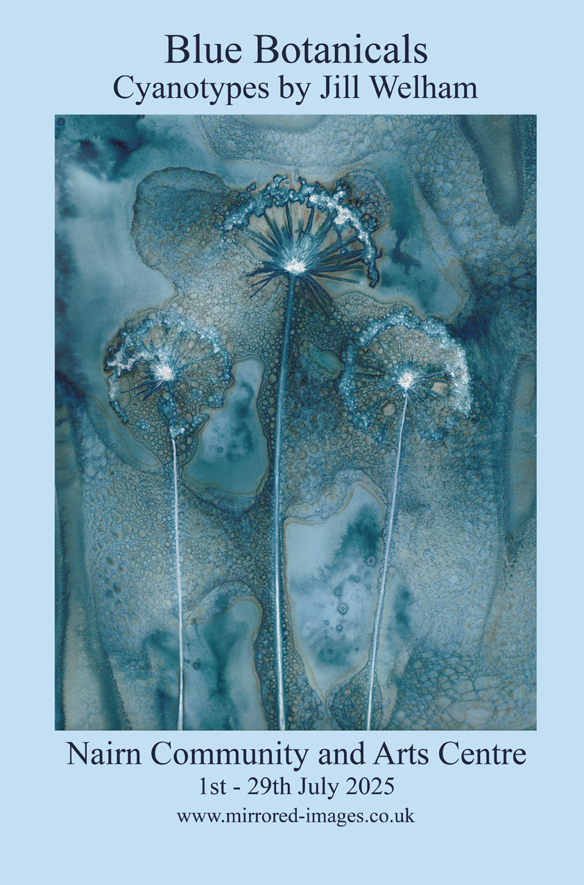 Mirrored Images – Cyanotype artist and printmaker