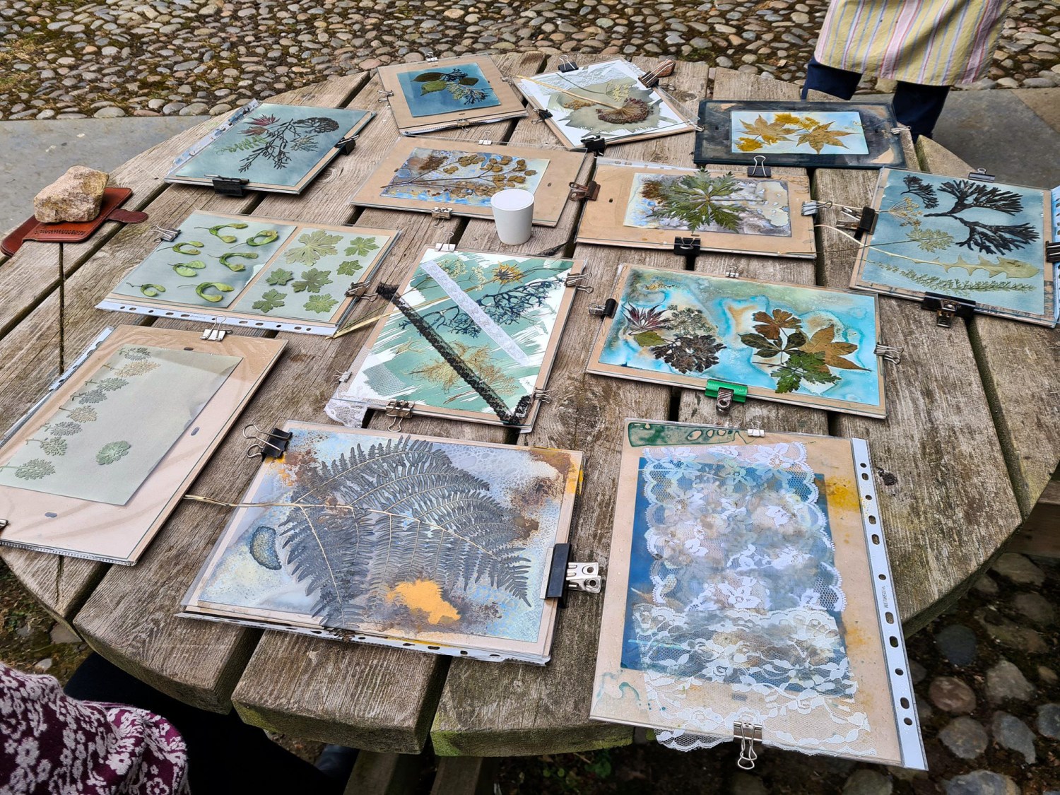 Cyanotype Workshops, Talks and Demonstrations – Mirrored Images