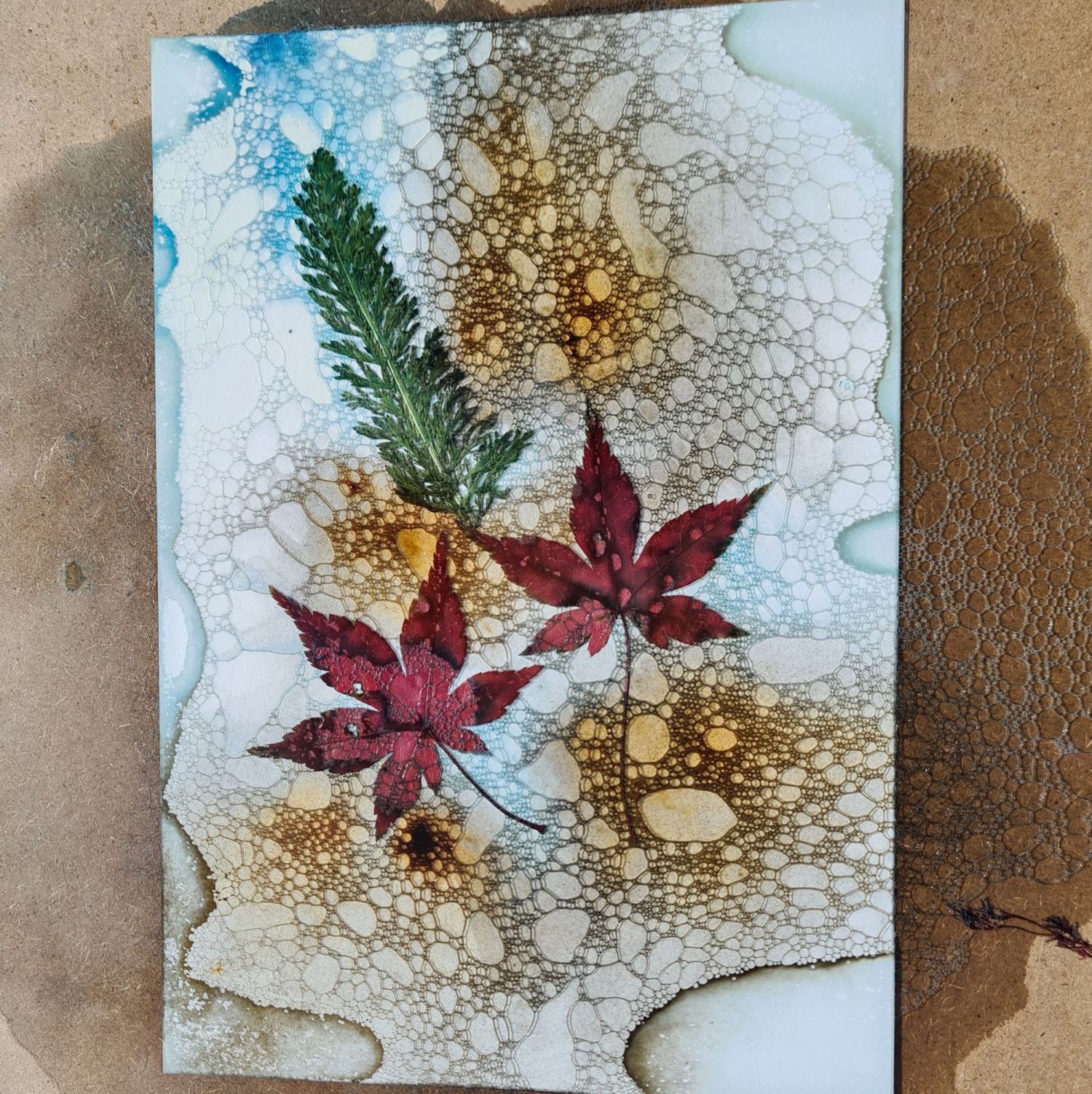 Cyanotype Workshops, Talks and Demonstrations – Mirrored Images