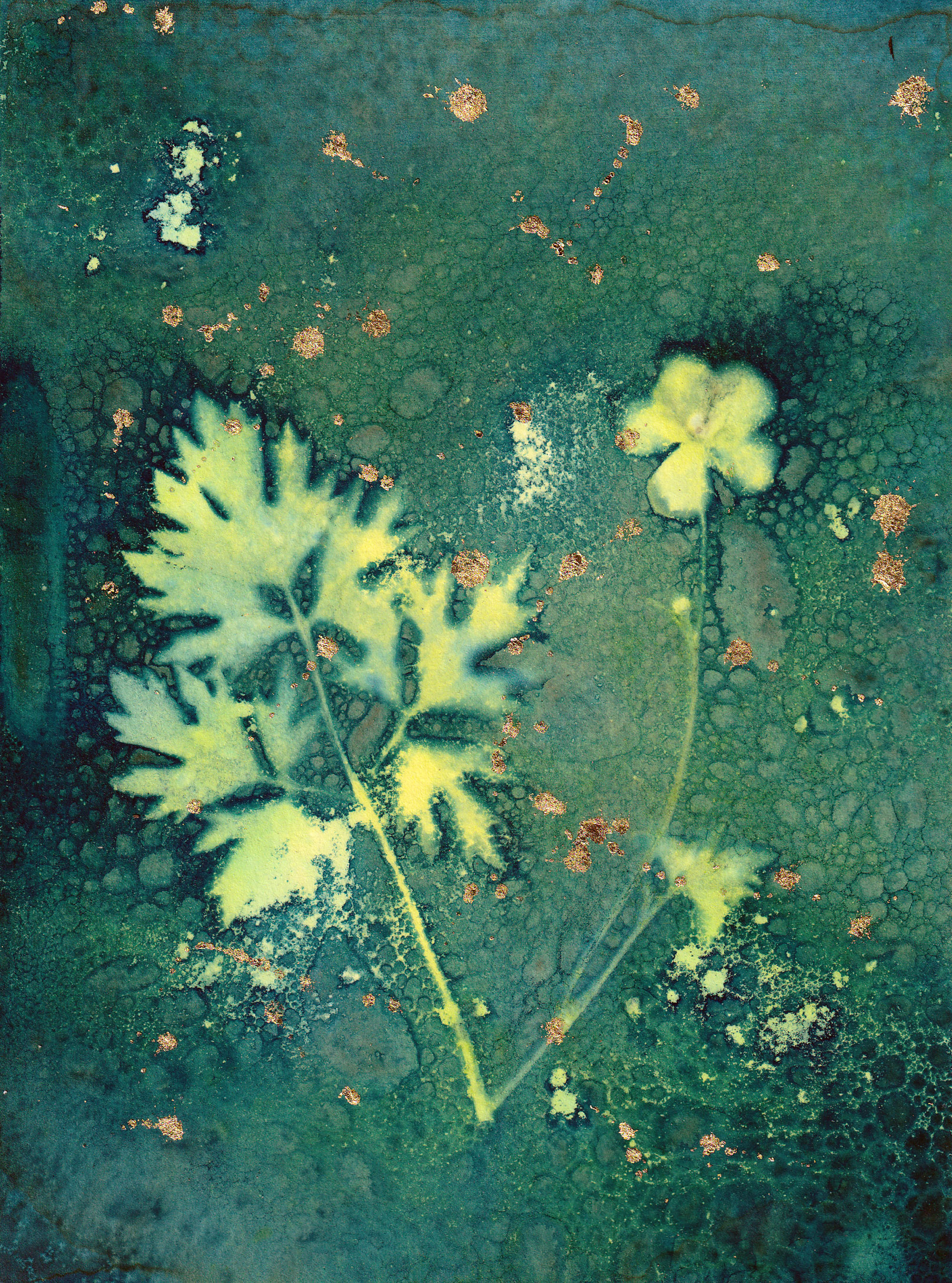 Wet Cyanotypes – Mirrored Images
